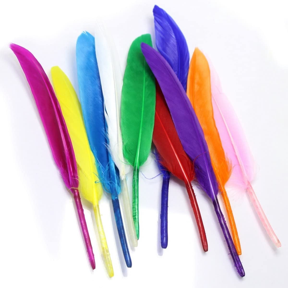 Aadya Crafts Feather Artificial Small Size Multi Colour 10 Pieces ...