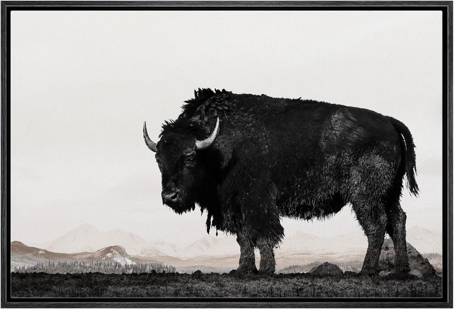 Aaheei Canvas Print Wall Art Black White Buffalo Bison Desert Landscape ...