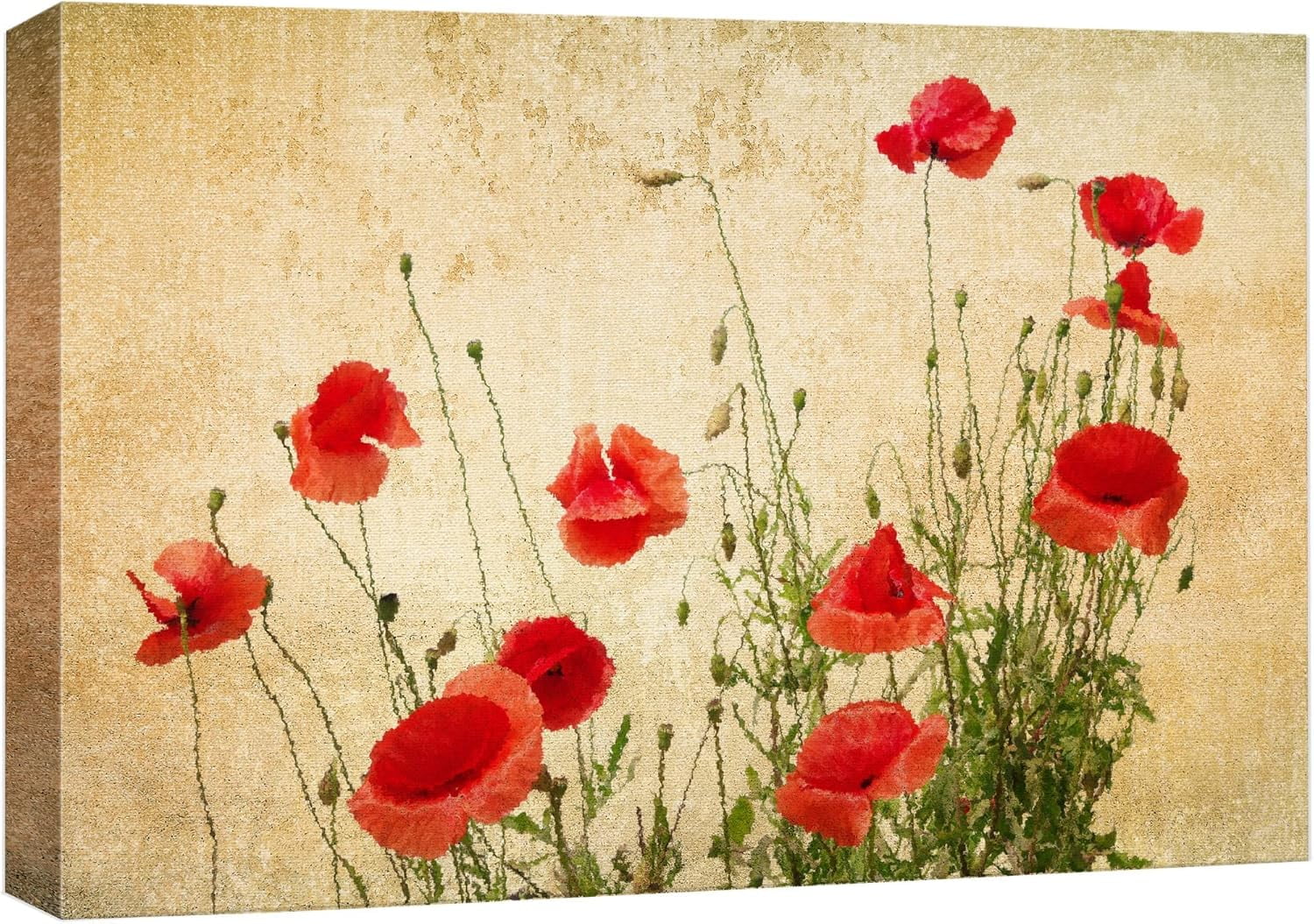 Aaheei Canvas Wall Art Red Poppy Flowers on Vintage Abstract Background ...
