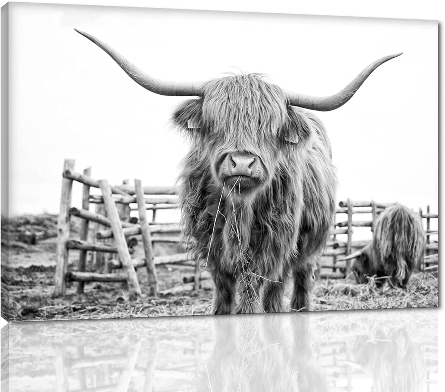 Aaheei Cattle Wall Art Canvas Print Poster Highland Cow Black and White ...