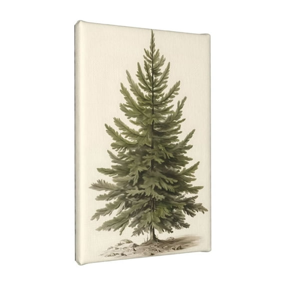 Aaheei Conifer Pine Tree Botanical Illustration Stretched Canvas Wall ...