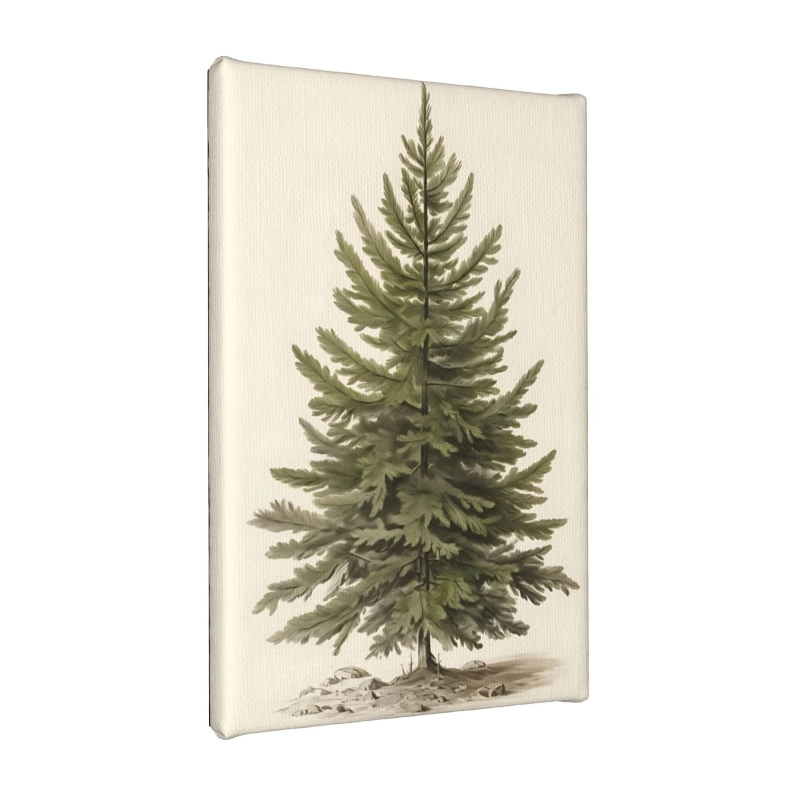 Aaheei Conifer Pine Tree Botanical Illustration Stretched Canvas Wall ...
