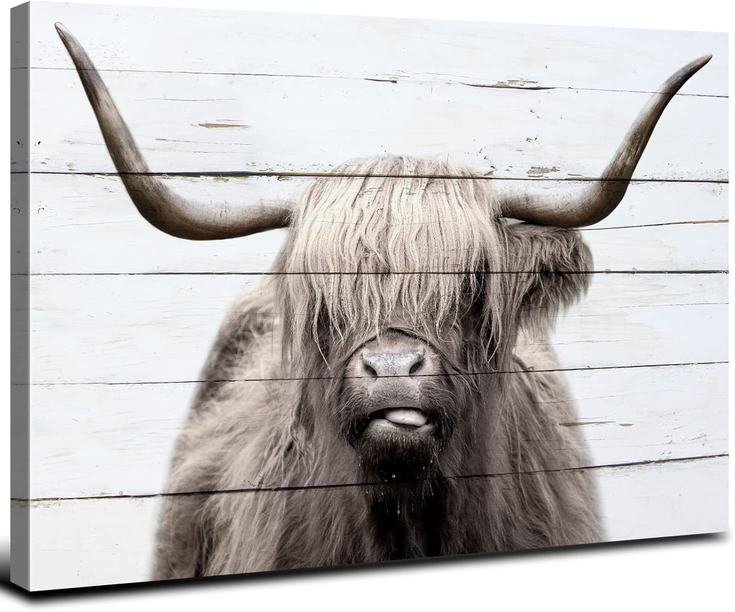 Aaheei Cow Canvas Wall Art Farmhouse Scotland Cow Canvas Prints Picture ...
