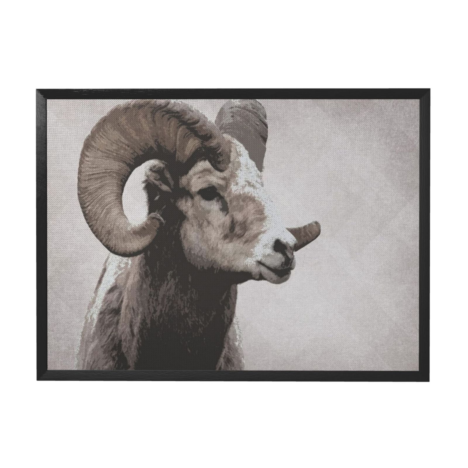 Aaheei Imposing! Ram portrait with massive curved horns. Ideal for ...