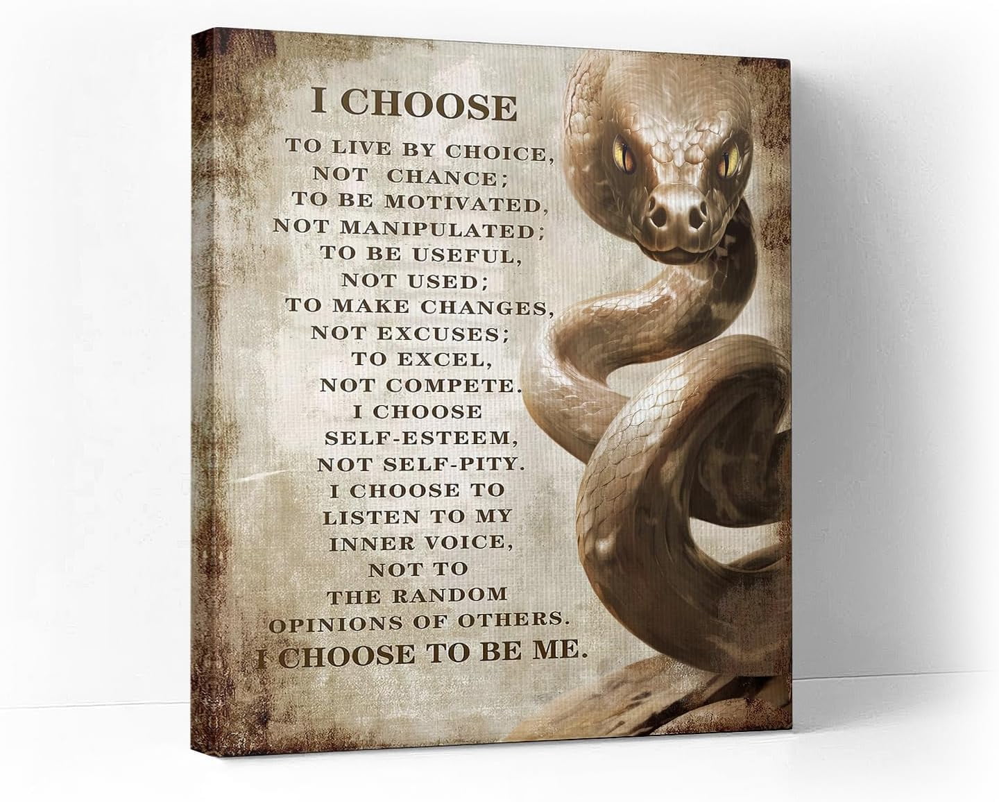 Aaheei Motivational Snake Canvas Wall Art Christian Snake Gift for Men ...