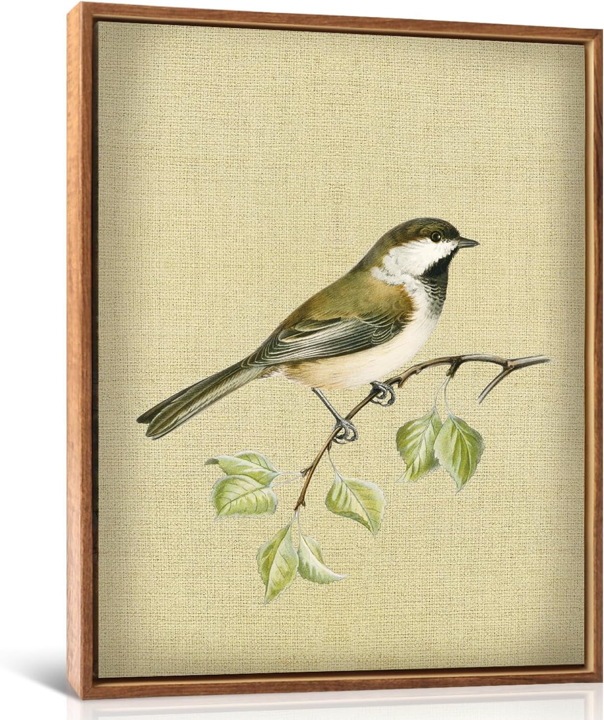 Aaheei Vintage Bird Prints Wall Art Leave Hummingbird Canvas Antique ...