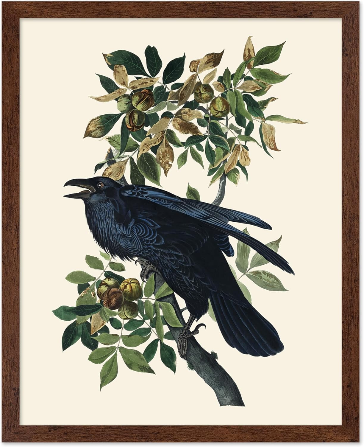 Aaheei Vintage John James Audubon Poster - Retro Animal Print - Gift ...
