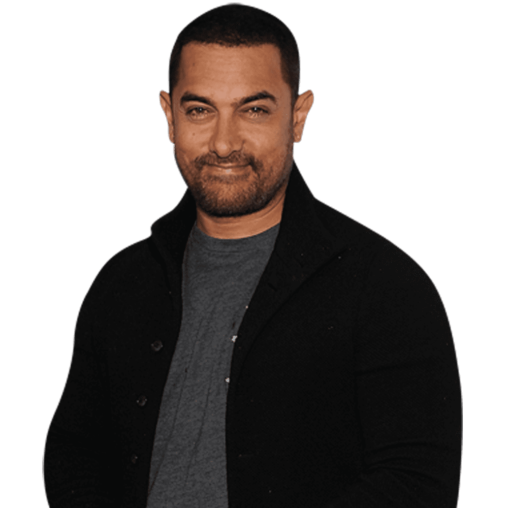 Aamir Khan (Jacket) Half Body Buddy Cutout - Walmart.com