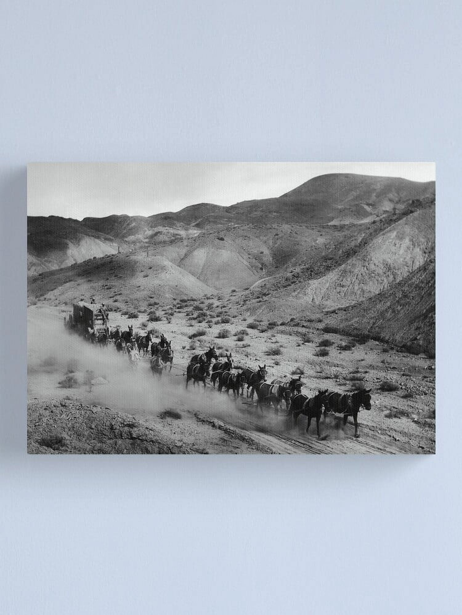 Aaroca 20 Mule Team BORAX Hauling Wagon c. 1883 Canvas Print (Unframed ...
