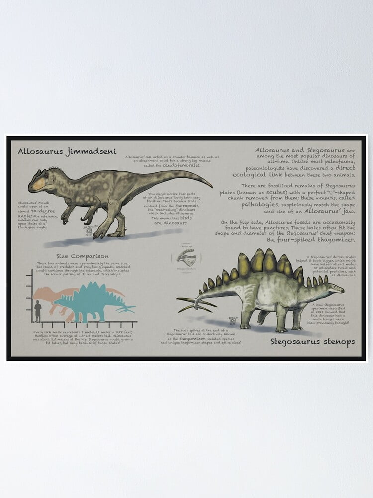 Aaroca Allosaurus vs. Stegosaurus: Educational Poster Poster Artwork ...