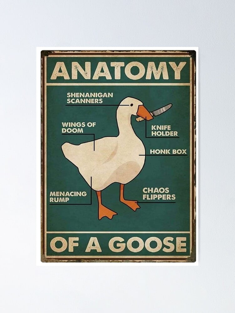 Aaroca Anatomy Of A Murderer Goose Meme Art Poster Canvas Poster ...