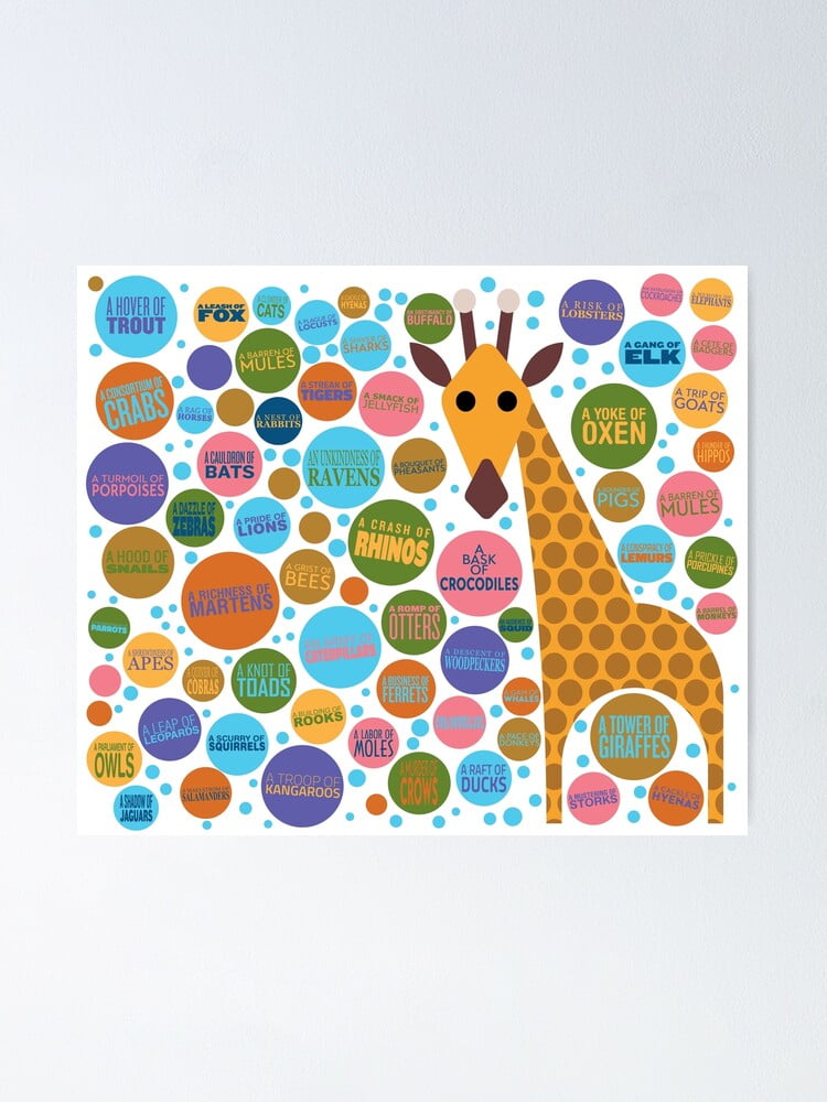Aaroca Animal Group Terminology - Circle Version for Kids Poster Artwork Decor for Living Room ...