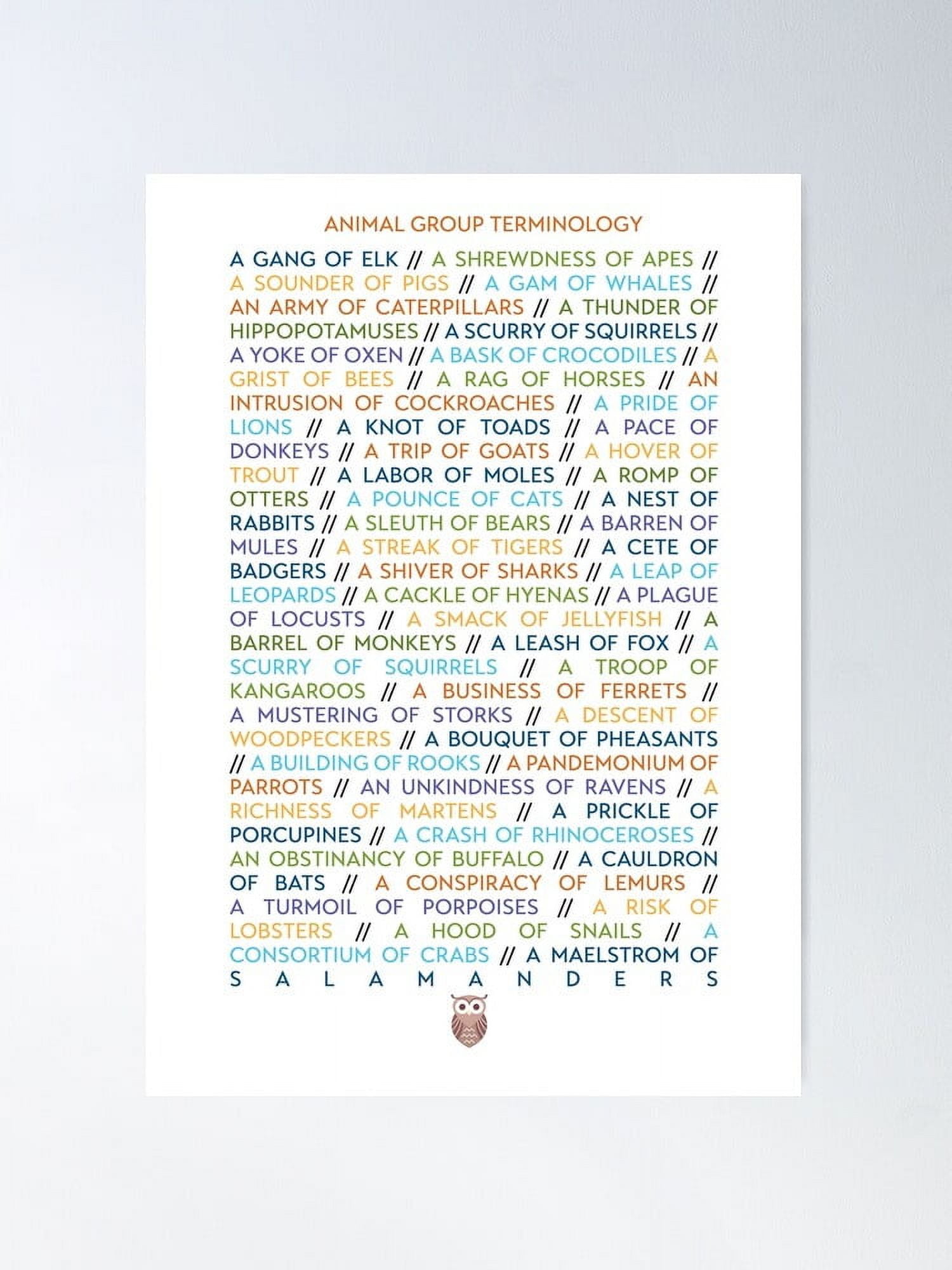 Aaroca Animal Group Terminology - Coloured Text Edition Poster Canvas ...