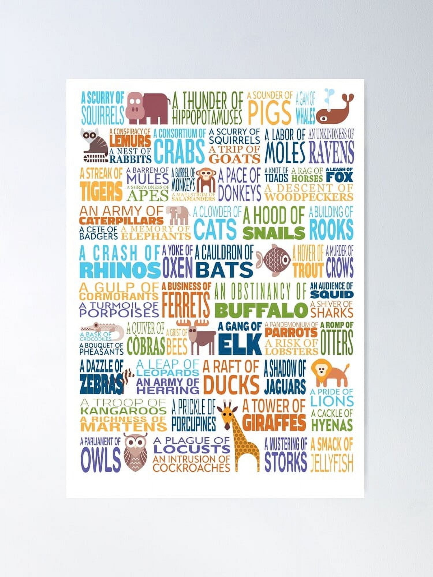 Aaroca Animal Group Terminology - Funky Font Edition with Animals ...