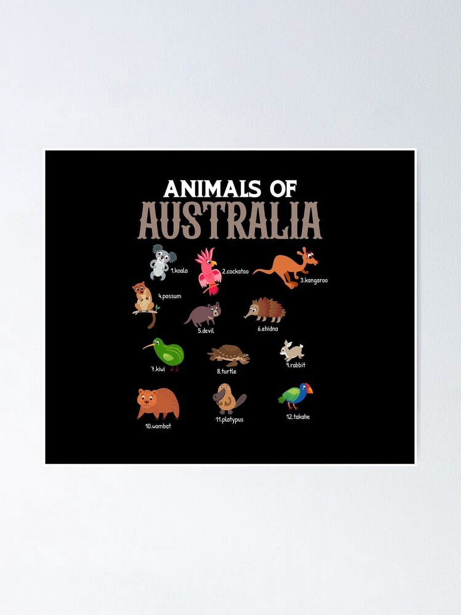 Aaroca Animals Of Australia Australian Animal Educational Poster ...