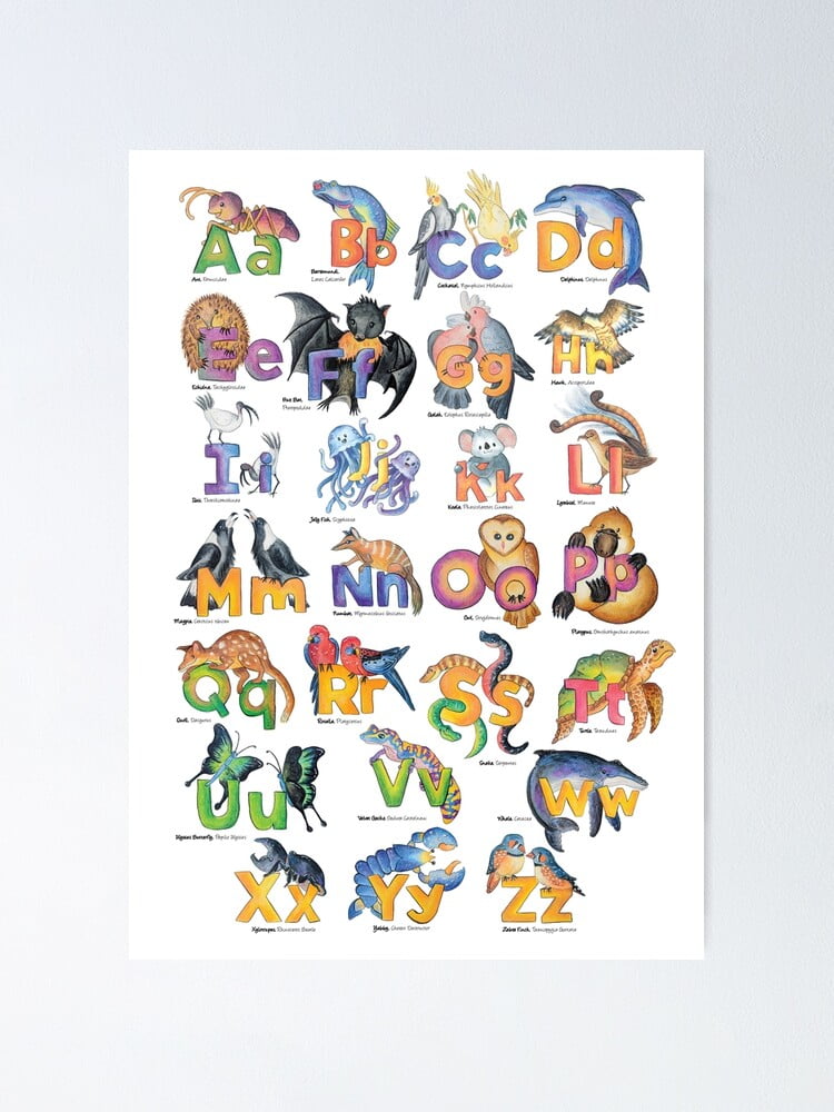 Aaroca Australian Animal Alphabet Poster Canvas Poster - Modern Wall ...