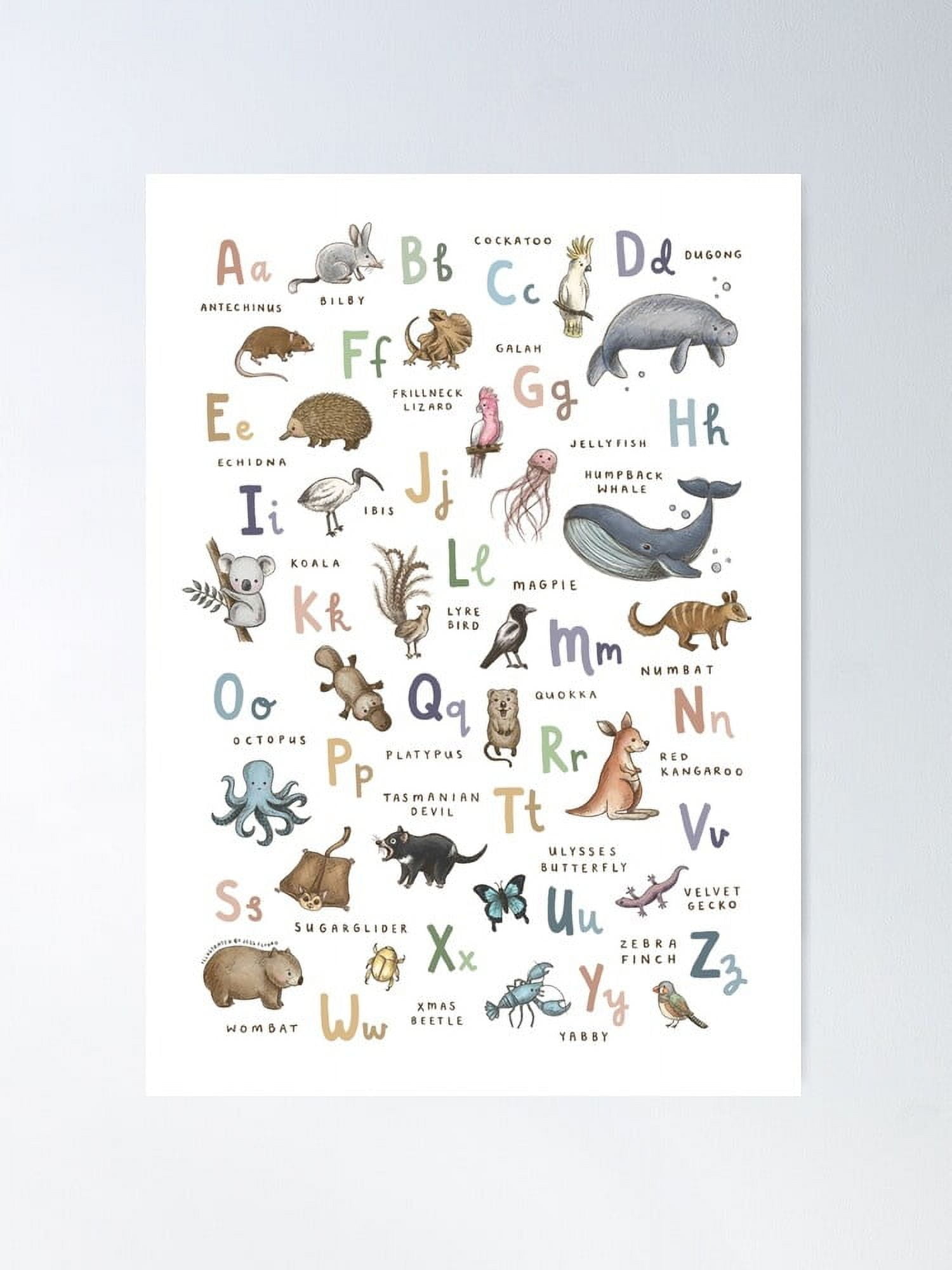 Aaroca Australian Animals Alphabet Poster Canvas Poster - Modern Wall ...