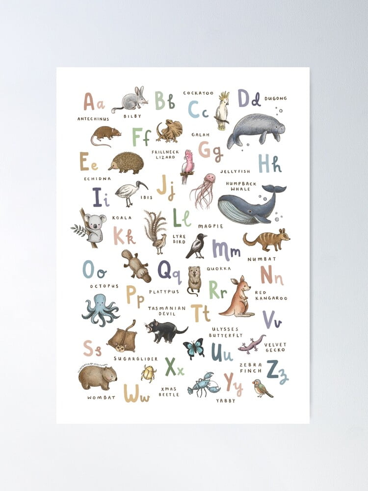 Aaroca Australian Animals Alphabet Poster Canvas Poster - Modern Wall ...