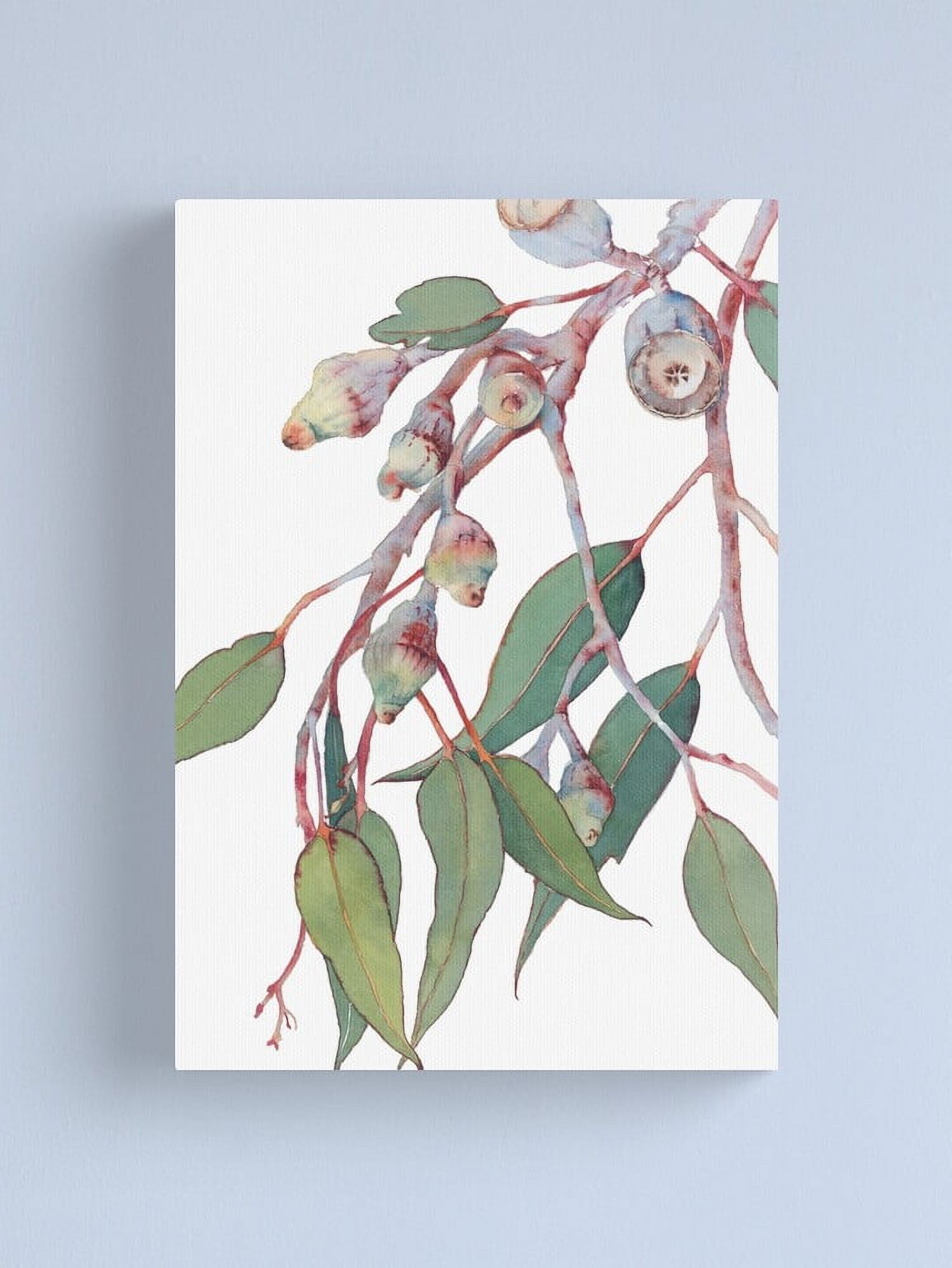 Aaroca Australian native eucalyptus tree branch watercolour Canvas ...