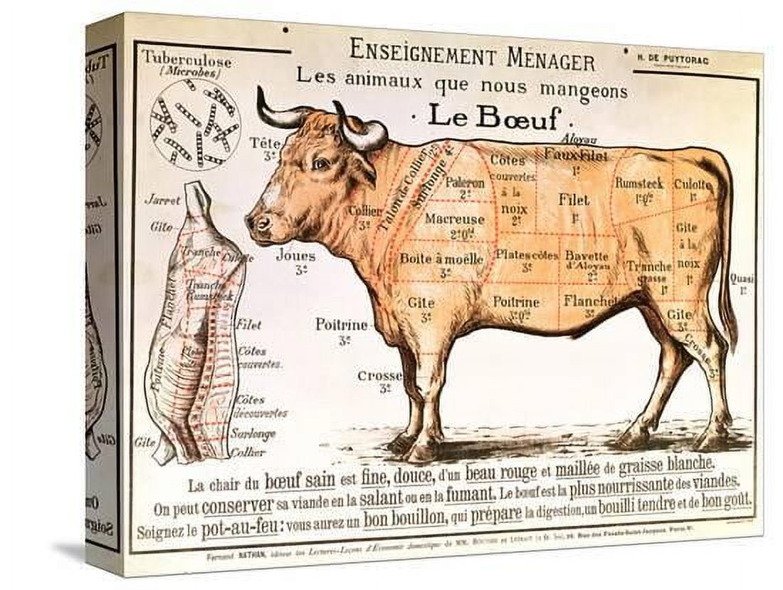 Aaroca Beef: Diagram Depicting the Different Cuts of Meat Canvas ...