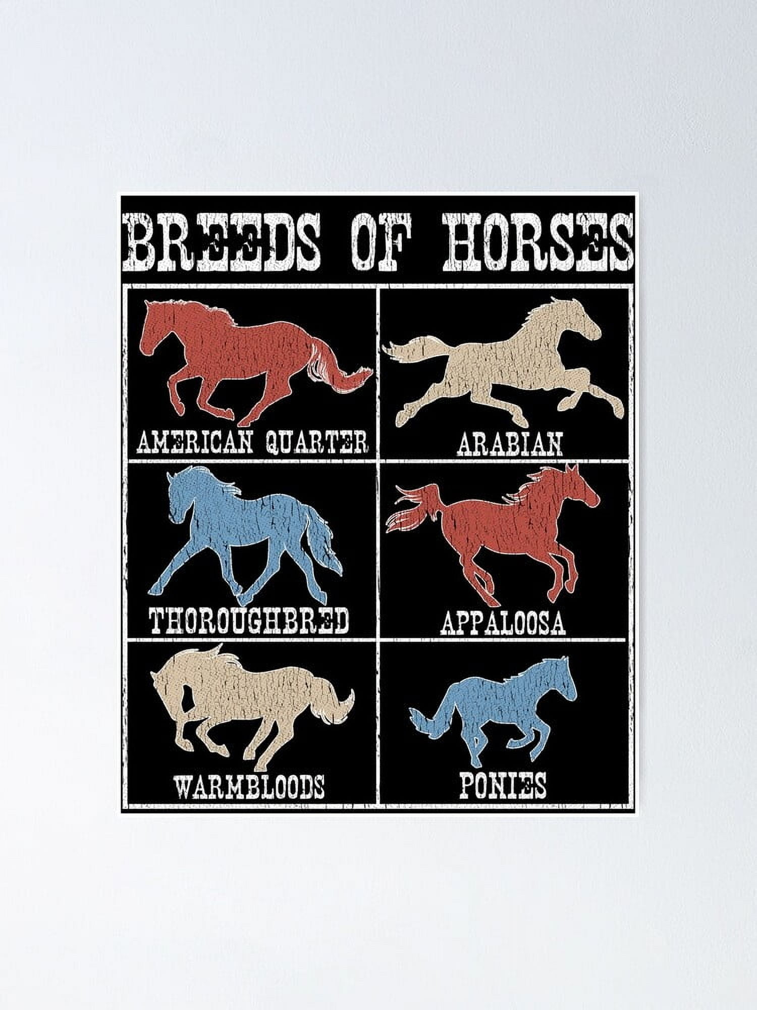 Aaroca Breeds Of Horse Equestrian Facts Poster Artwork Decor for Living Room Bathroom Bedroom 12 ...