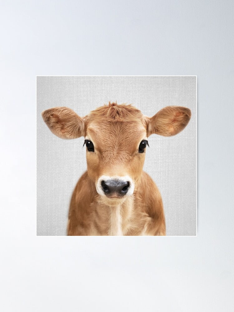 Aaroca Calf - Colorful Poster Canvas Poster - Modern Wall Art for Home ...