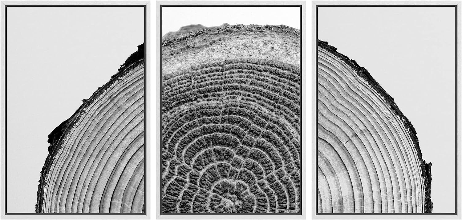 Aaroca Canvas Print Wall Art Set Black White High Contrast Wood Tree ...