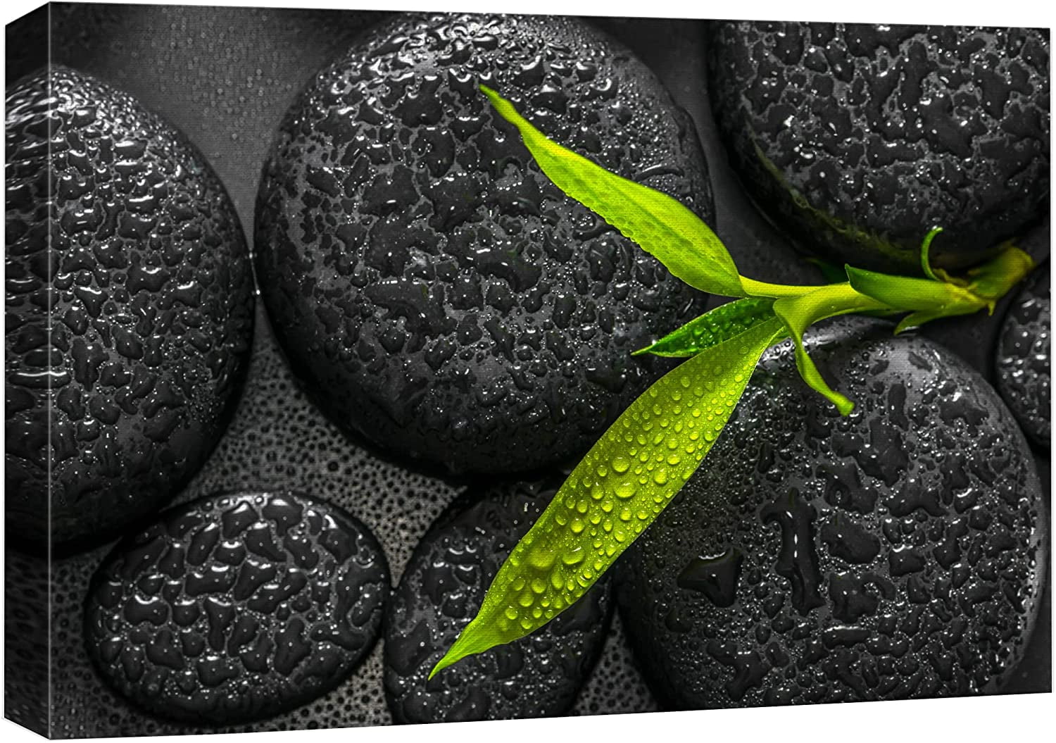 Aaroca Canvas Print Wall Art Sprouting Green Plant Over Dark Black ...
