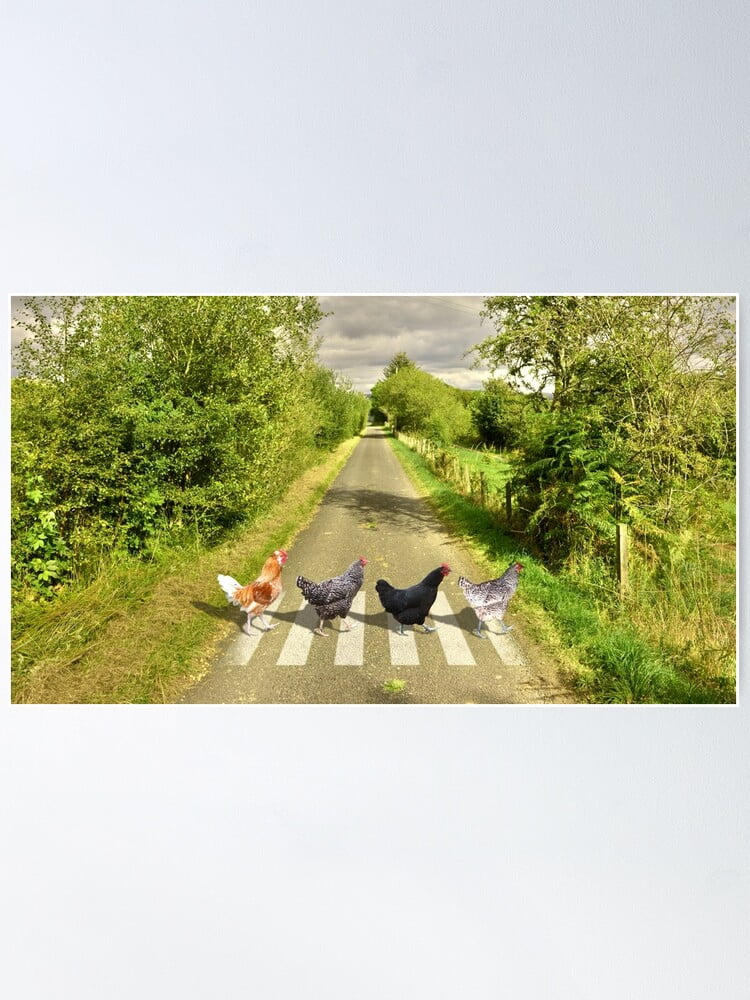 Aaroca Chicken Abbey Road Poster Canvas Poster - Modern Wall Art for Home & Office Decor, 12"x18 ...
