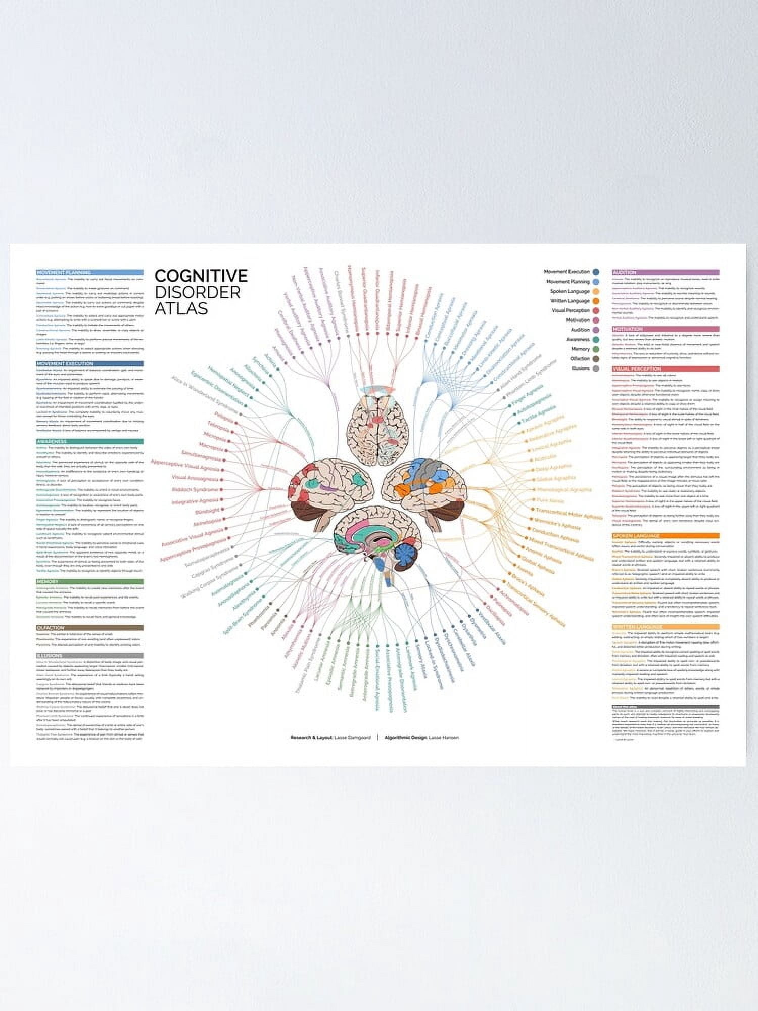 Aaroca Cognitive Disorder Atlas - Explained (Unframed) Classic ...