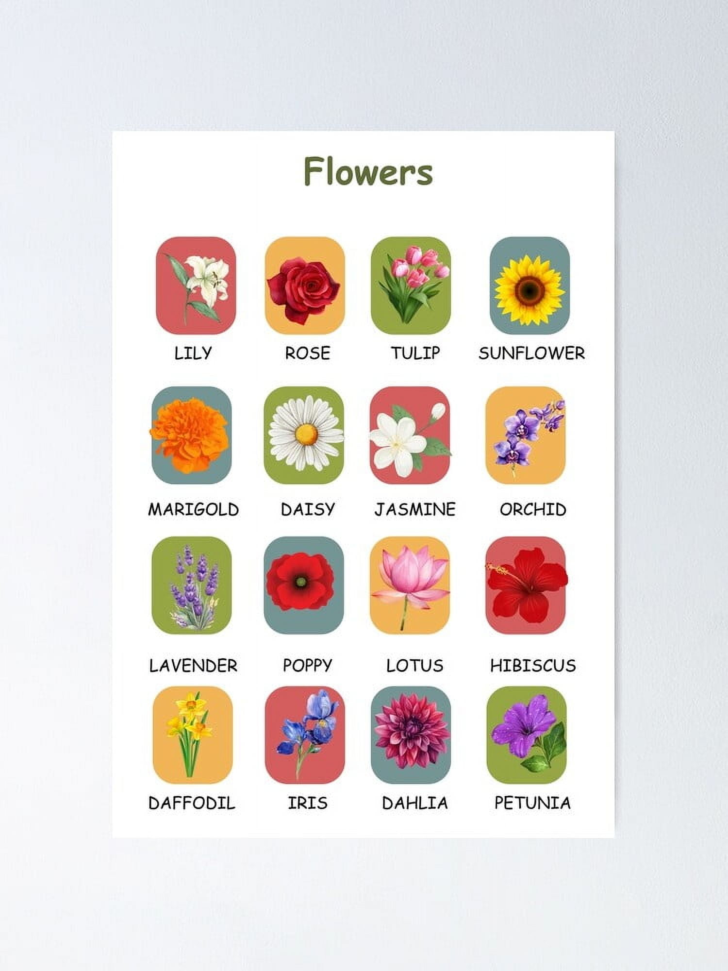 Aaroca Colorful Kids Educational Flower Poster – Fun and Learning ...