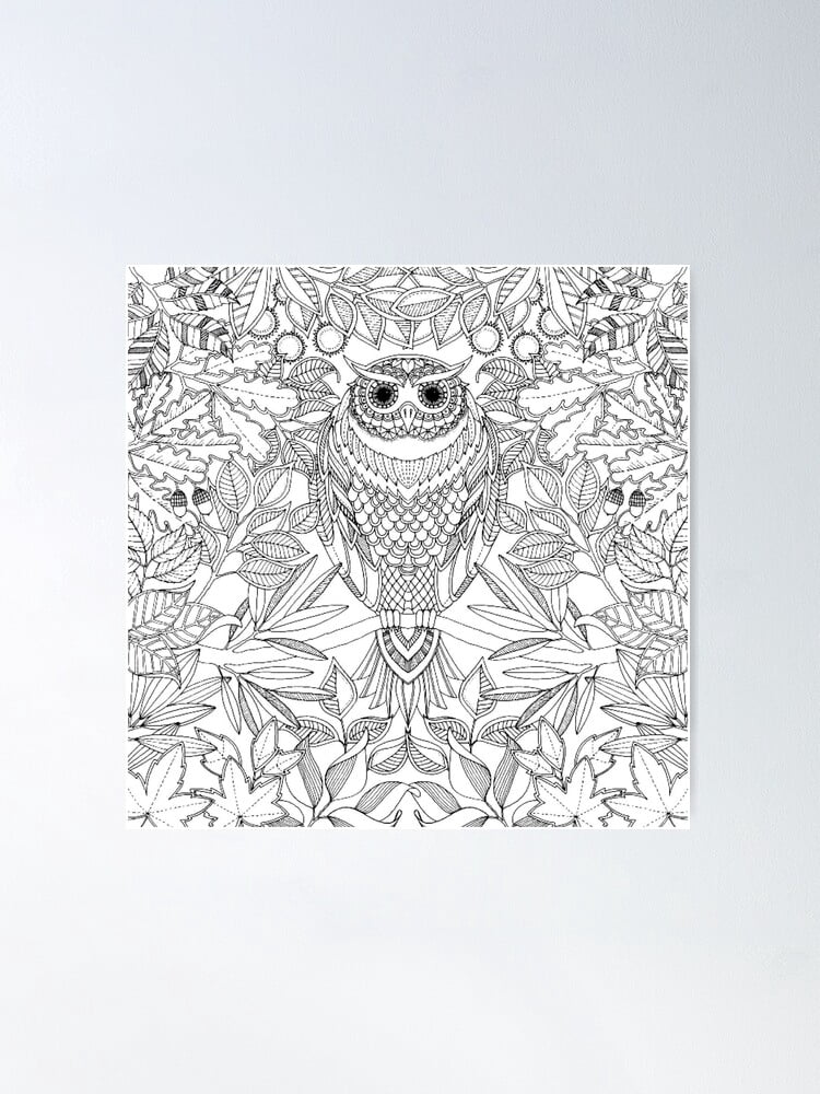 Aaroca Coloring for adult: owl Poster Canvas Poster - Modern Wall Art ...