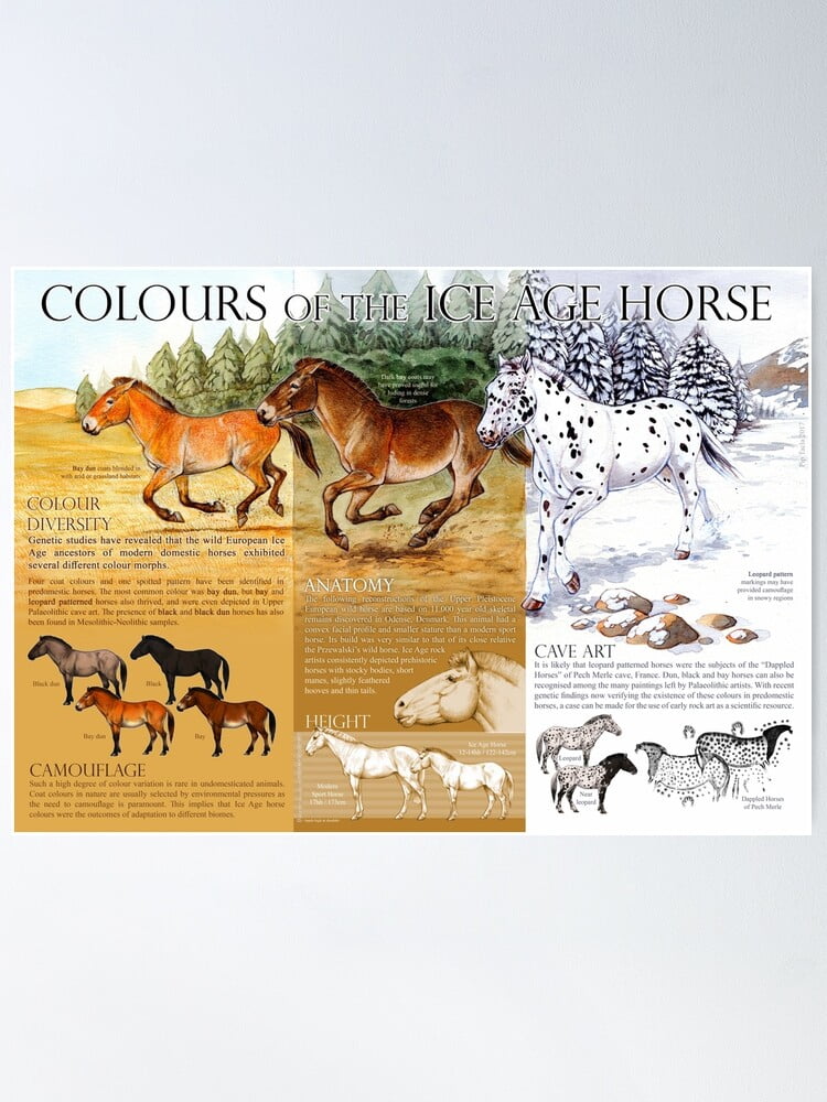 Aaroca Colours of the Ice Age Horse Poster Canvas Poster - Modern Wall ...