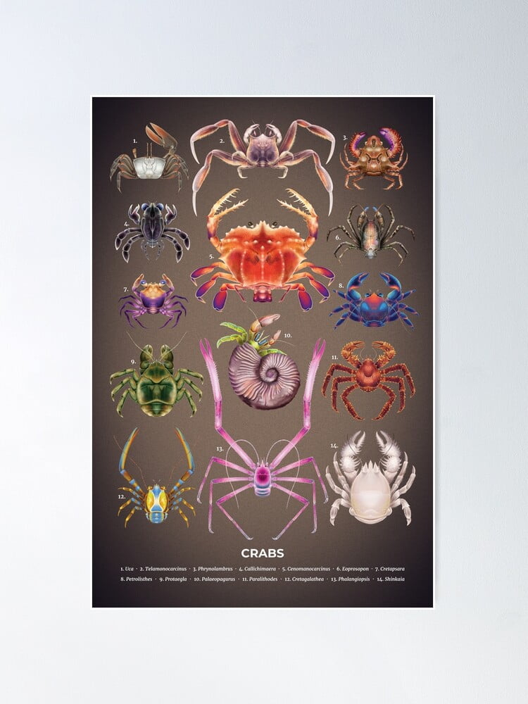 Aaroca Crabs Plate Poster Canvas Poster - Modern Wall Art for Home ...