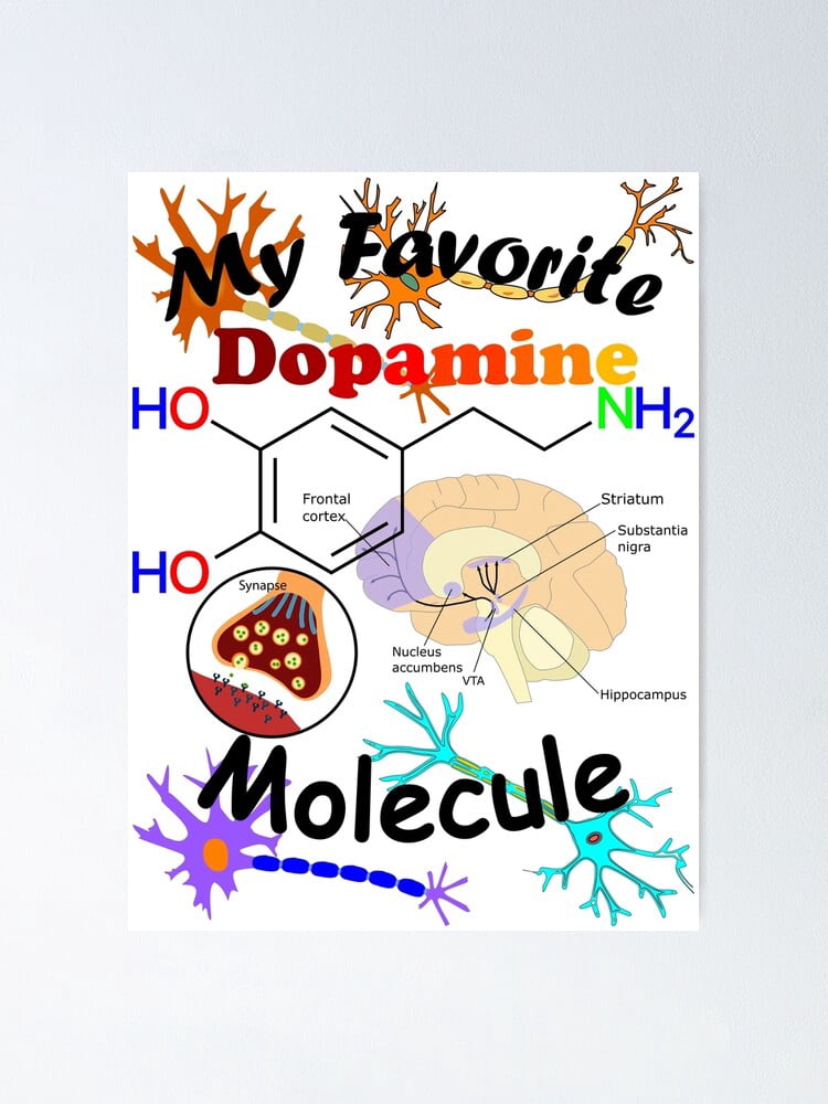 Aaroca Dopamine for Light Background Poster Artwork Decor for Living ...