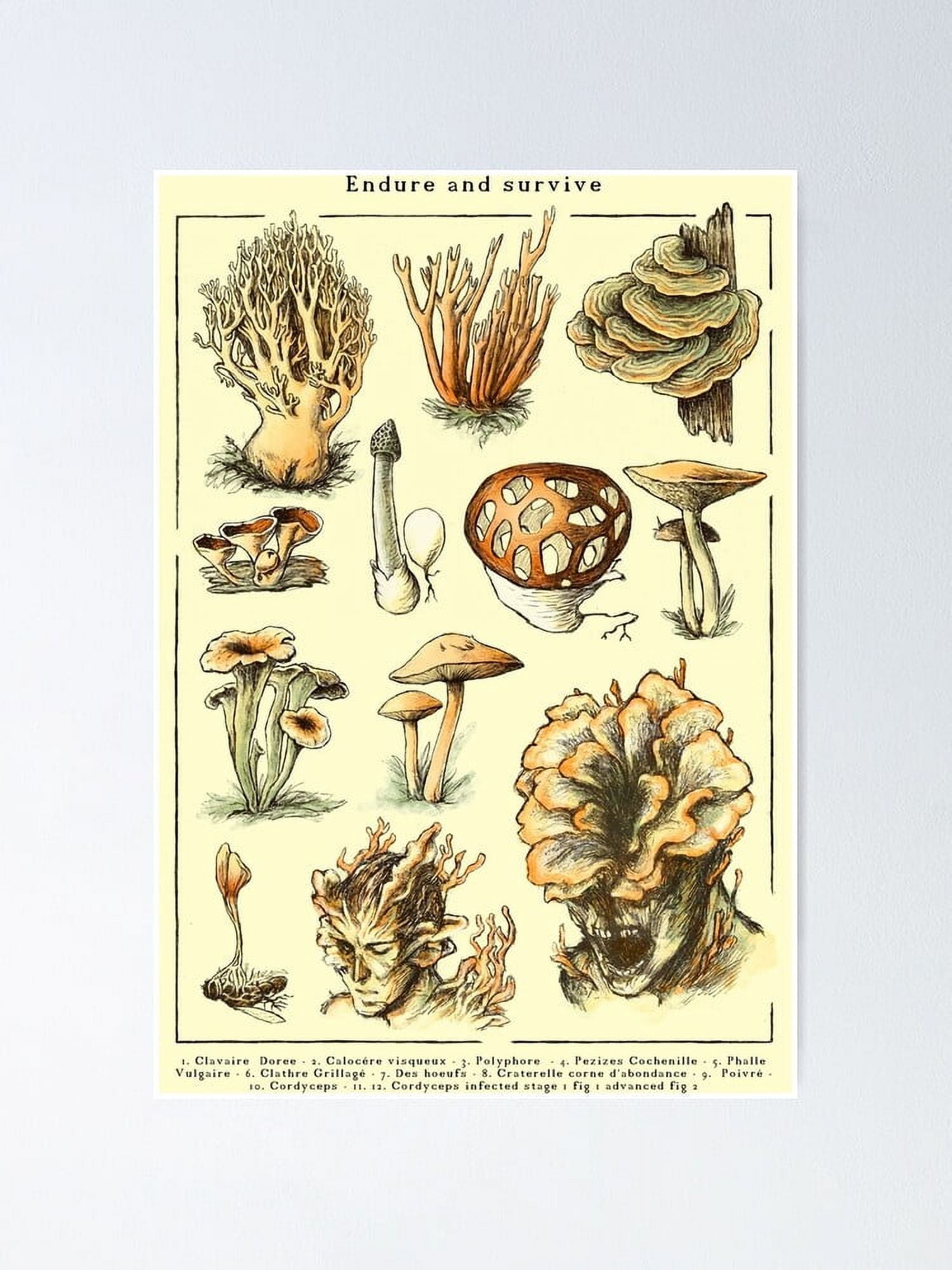 Aaroca Endure and Survive - The last of us - Cordyceps mushrooms dark ...