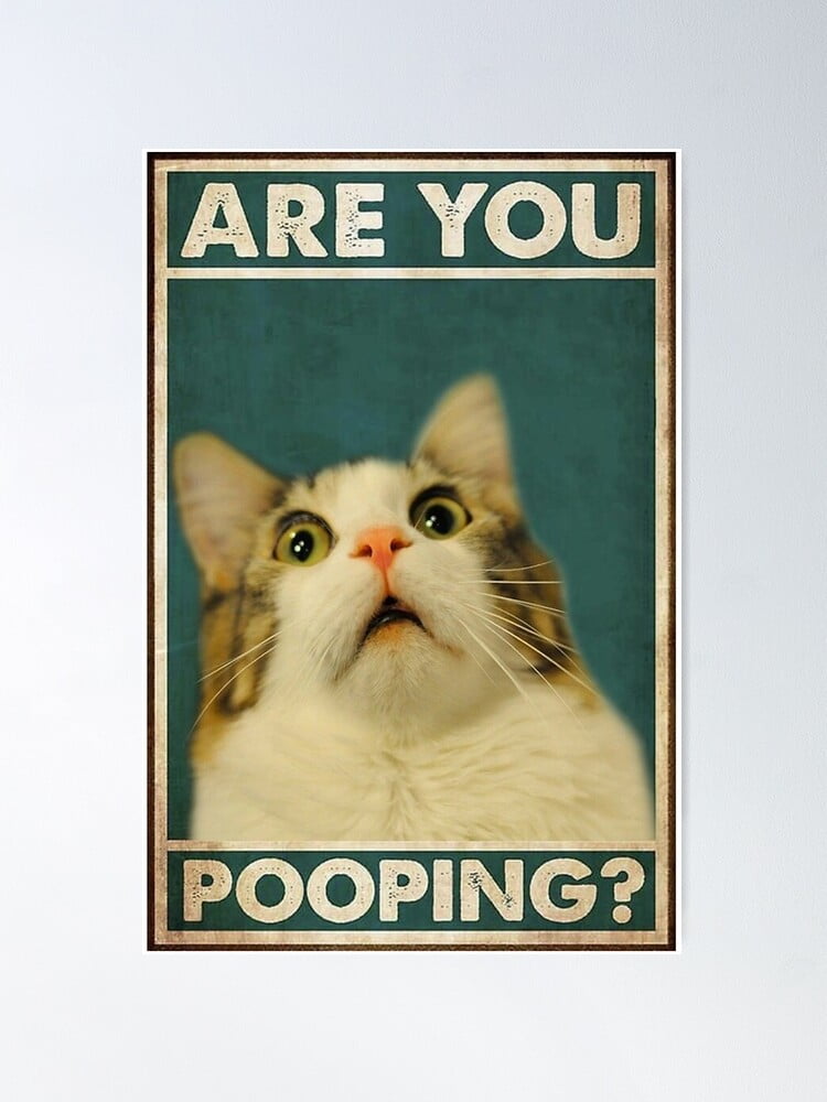Aaroca Funny Cat Are You Pooping Poster Poster Canvas Poster - Modern ...