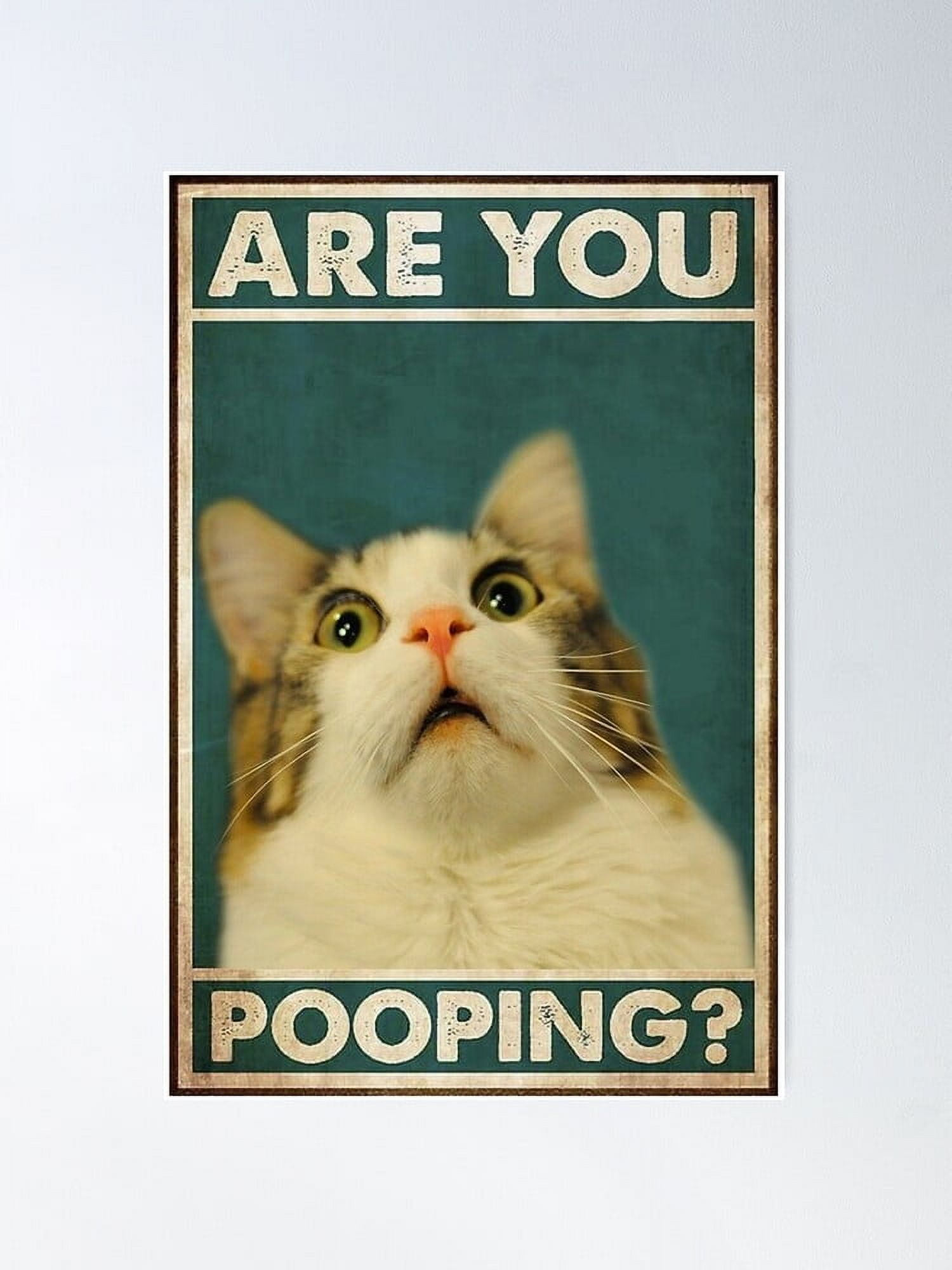 Aaroca Funny Cat Are You Pooping Poster Poster Canvas Poster - Modern ...
