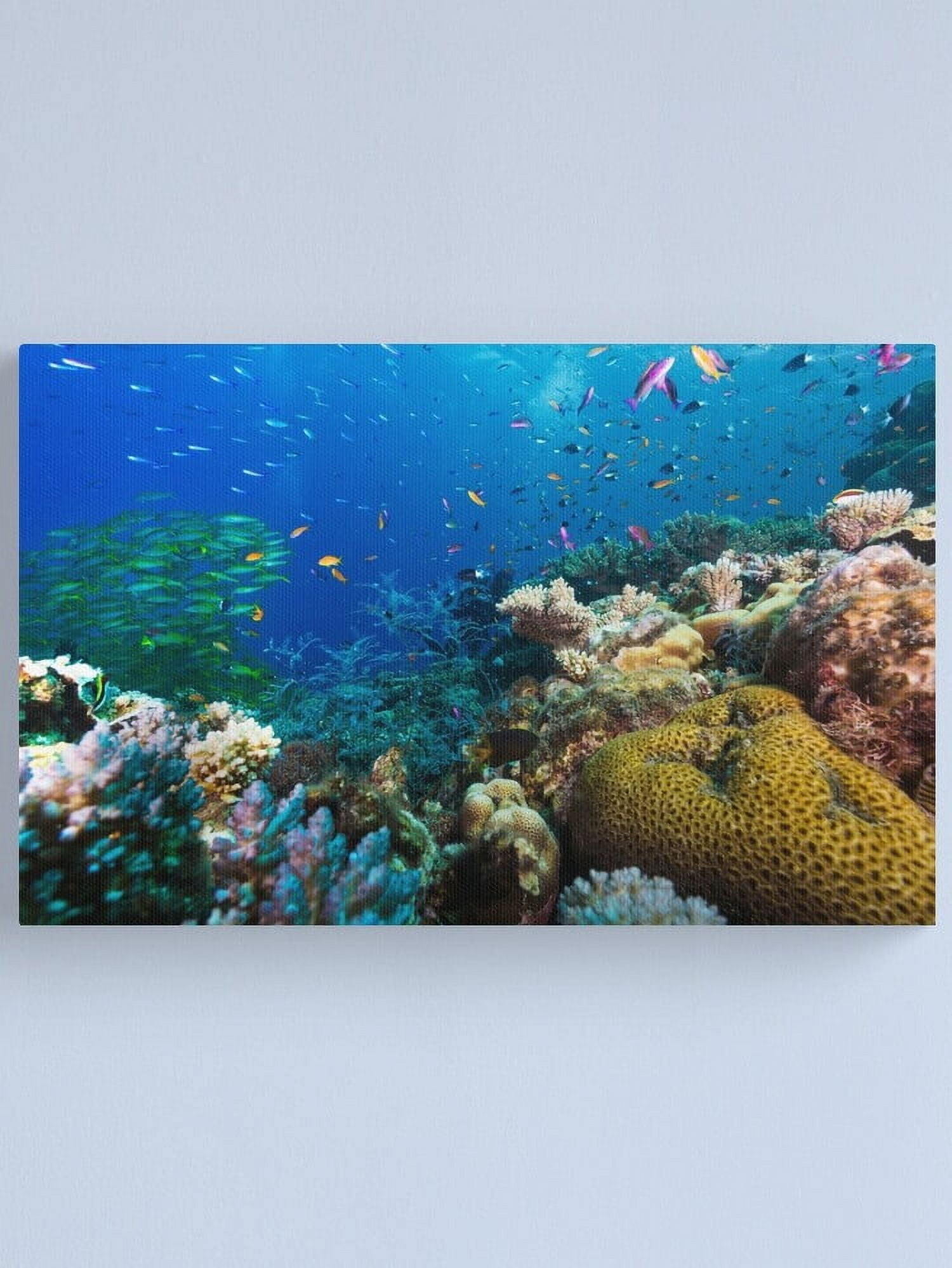 Aaroca Great Barrier Reef Coral Wonderland Canvas Print (Unframed ...