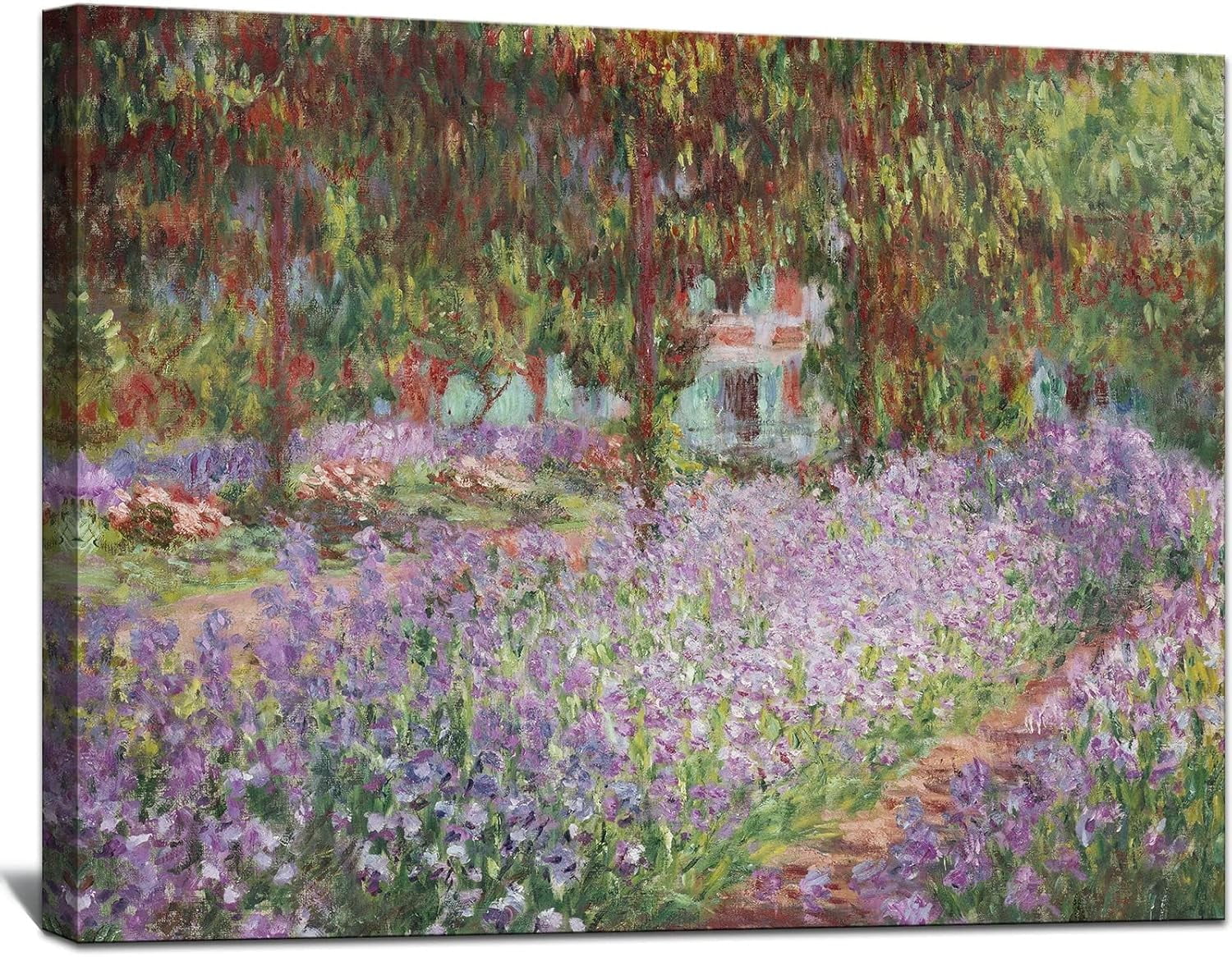 Aaroca Irises in Monet's Garden, 1900 by Claude Monet Canvas Wall Art ...