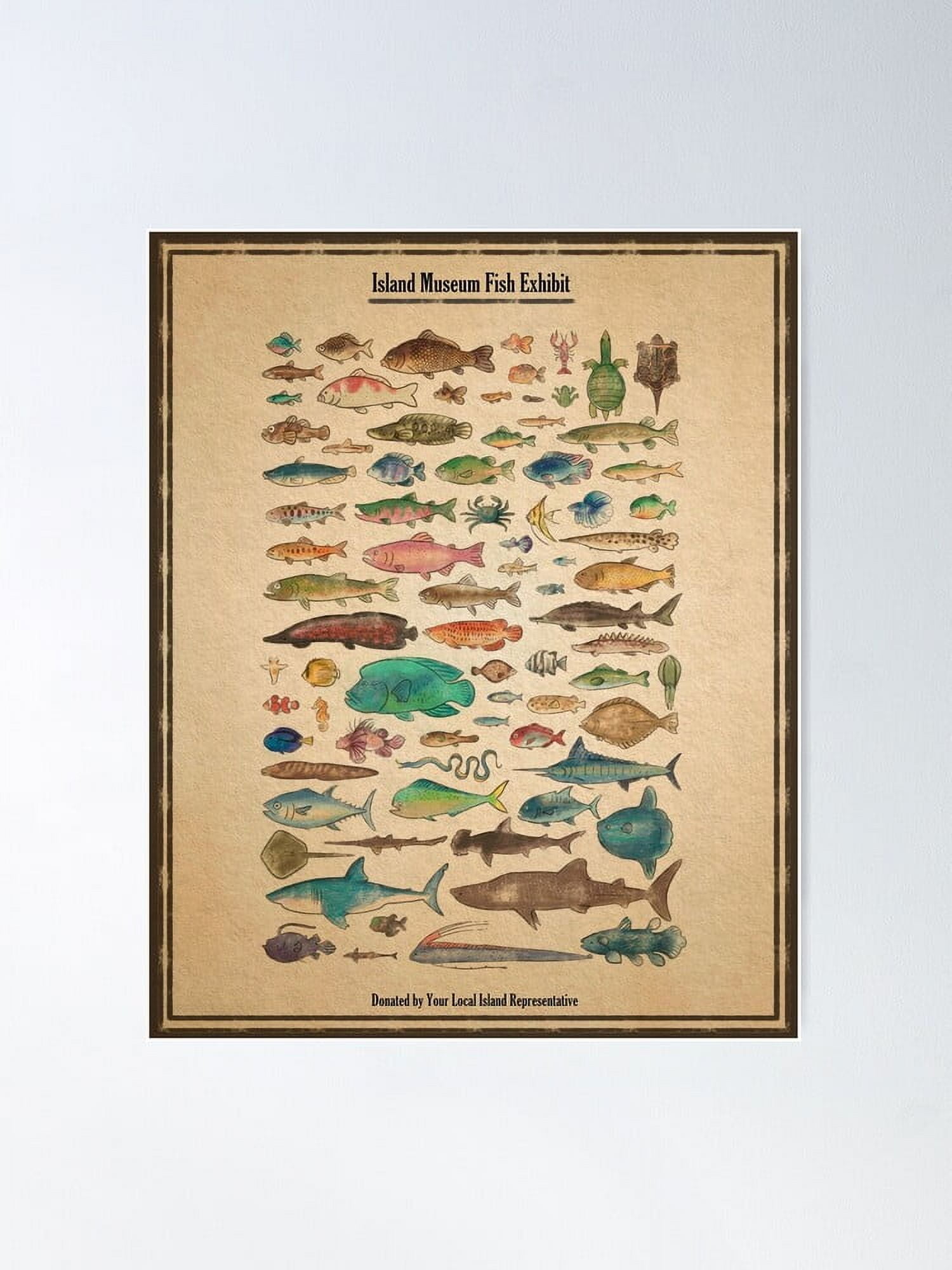 Aaroca Island Museum Fish Exhibit Poster Canvas Poster - Modern Wall ...