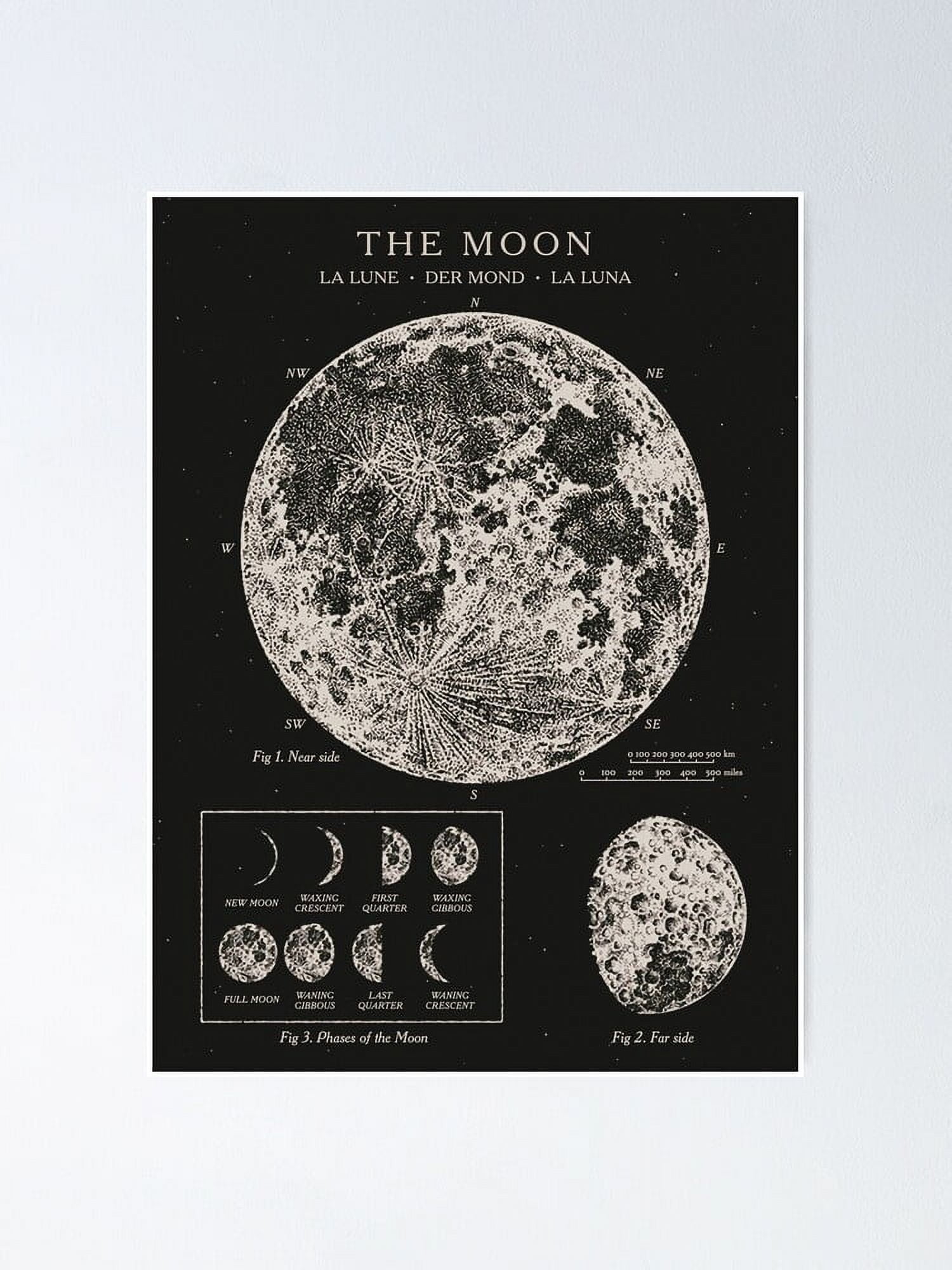 Aaroca Moon Phases Vintage Poster (Unframed) Classic Decoration for ...