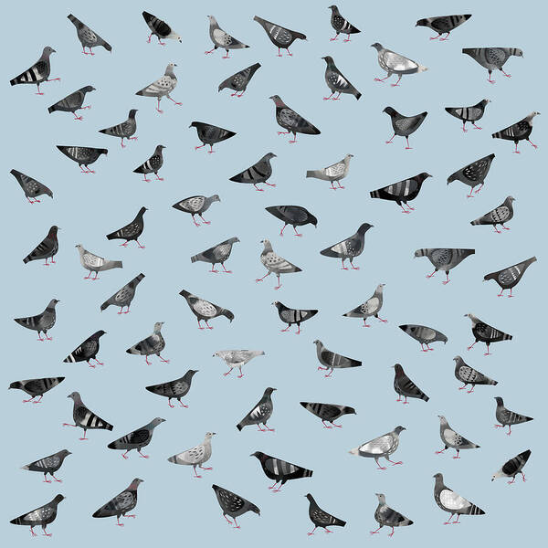 Aaroca Pigeons Doing Pigeon Things Poster Canvas Unframed - Walmart.com