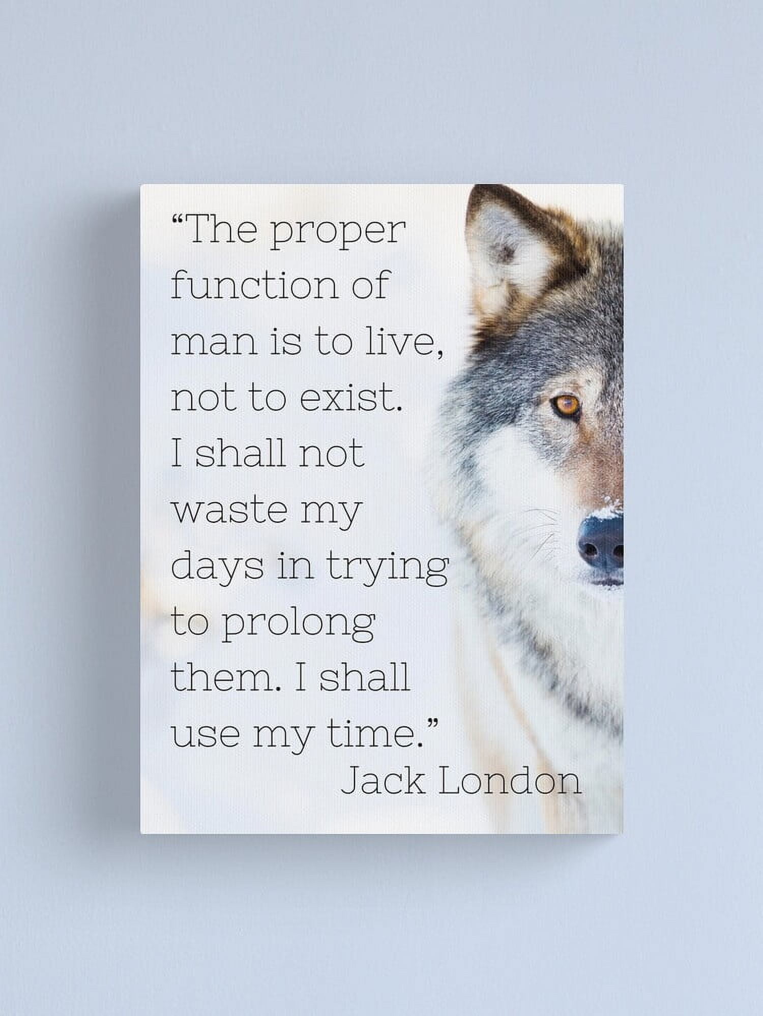 Aaroca Proper Function of Man | Jack London Quote | White Fang Canvas ...