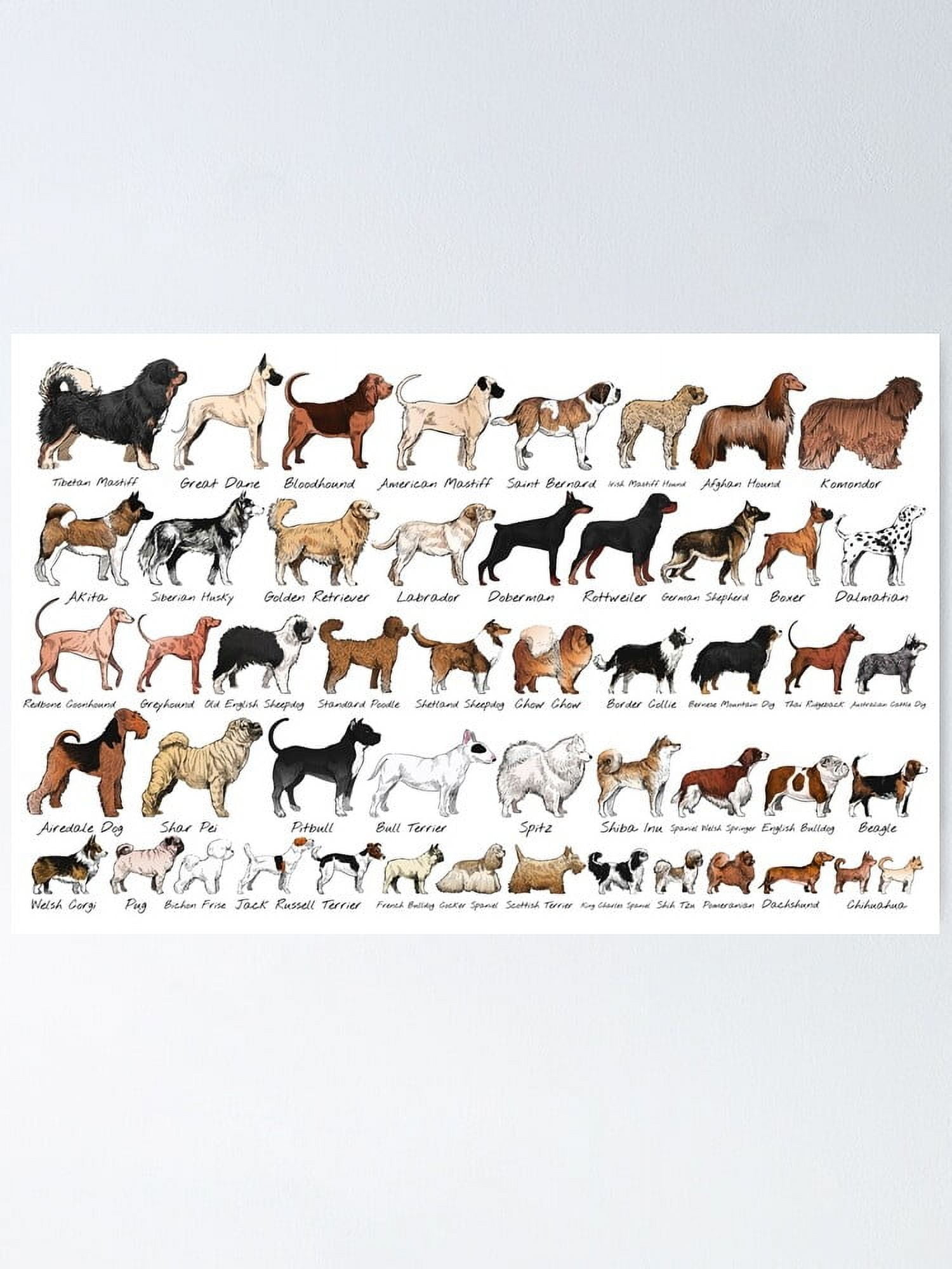 Aaroca Purebred Dog Breeds Poster Artwork Decor for Living Room Bathroom Bedroom 12"x18"or18"x12 ...