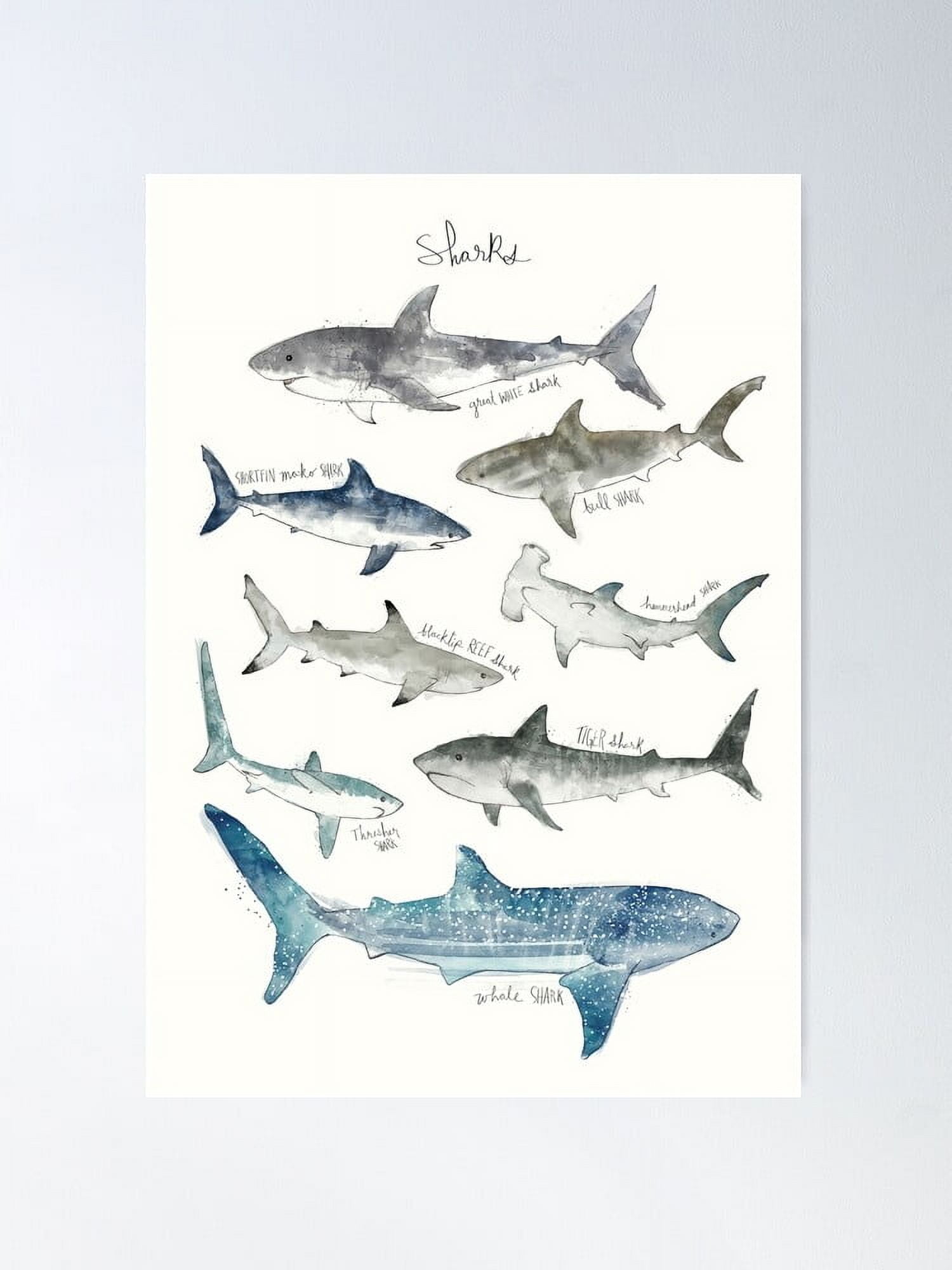 Aaroca Sharks Poster Canvas Poster - Modern Wall Art for Home & Office ...