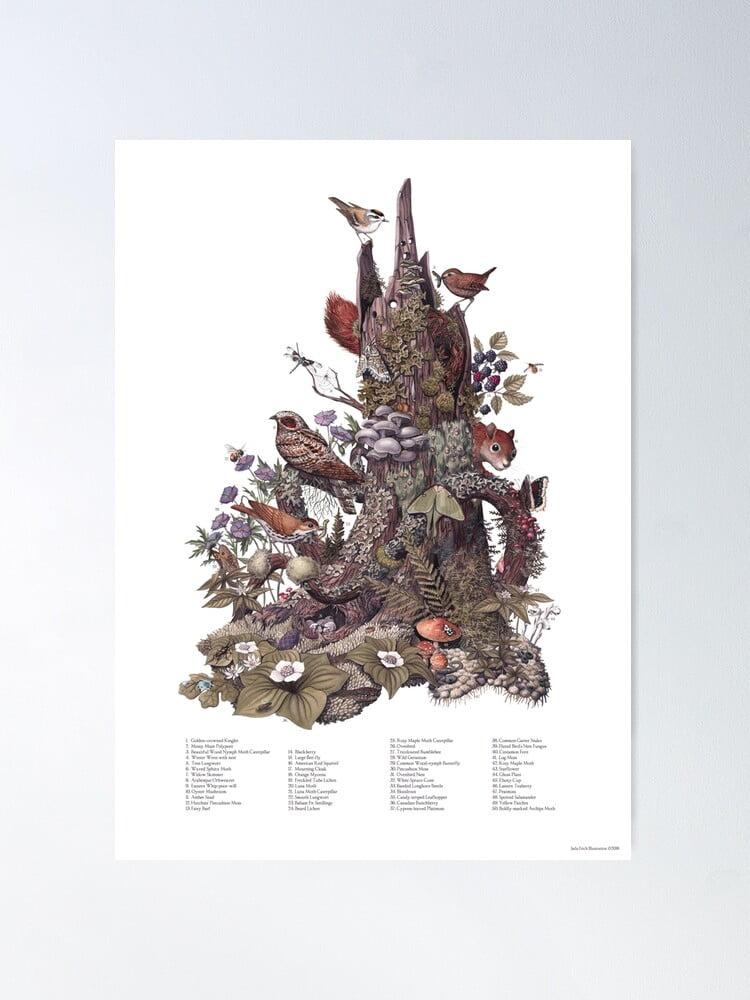 Aaroca Stump (with labels) Poster Canvas Poster - Modern Wall Art for ...