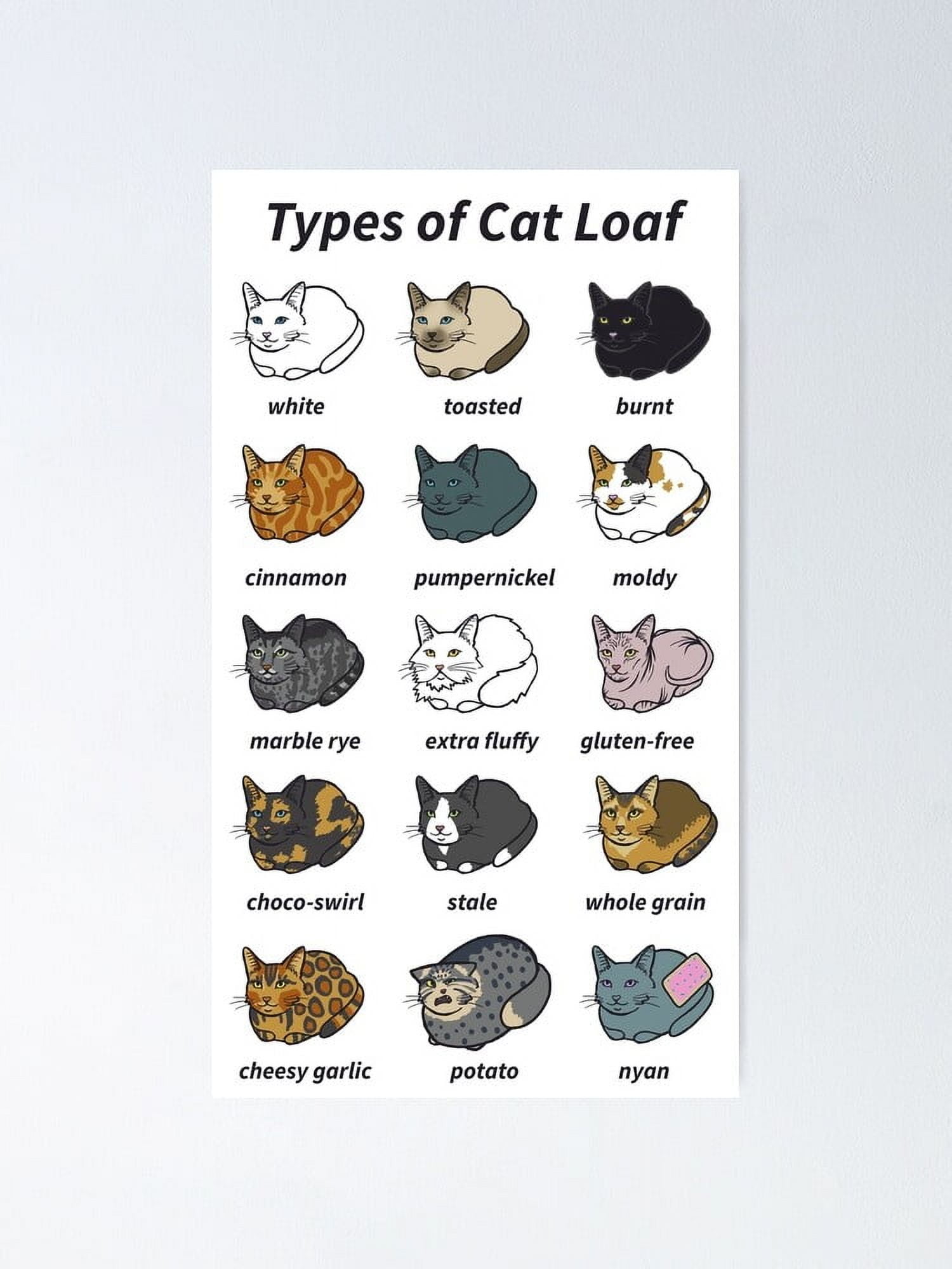 Aaroca The Types of Cat Loaf Poster Classic Decoration for Office ...