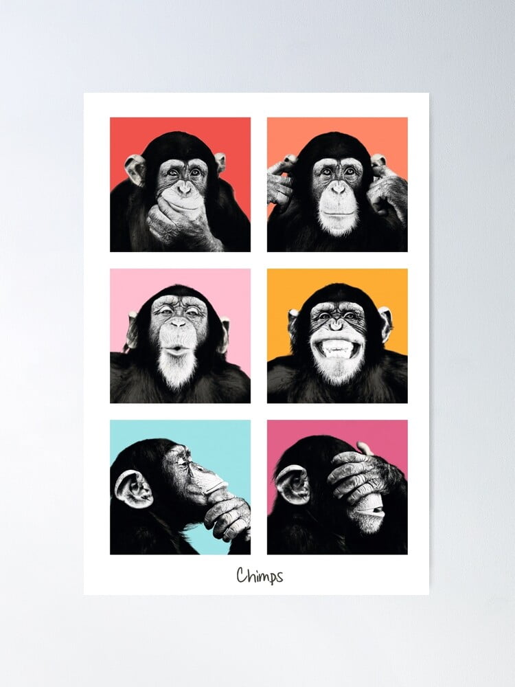 Aaroca The monkey Poster Canvas Poster - Modern Wall Art for Home ...