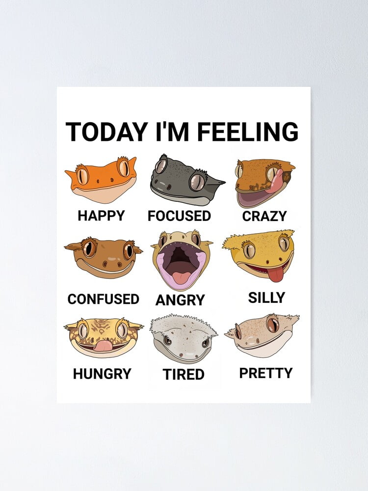 Aaroca Today I'm feeling... Crested gecko Poster Canvas Poster - Modern Wall Art for Home ...